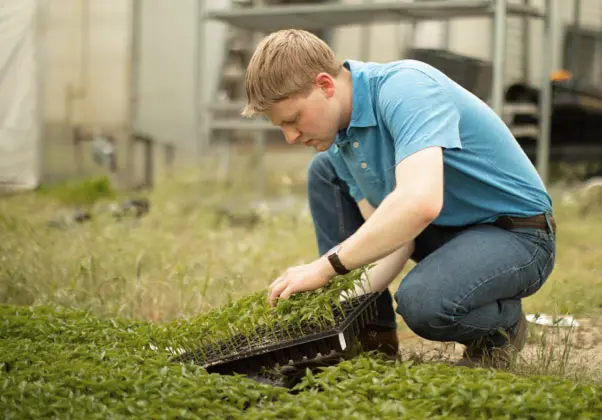 Agriculture, Food, and Natural Resources - K12
